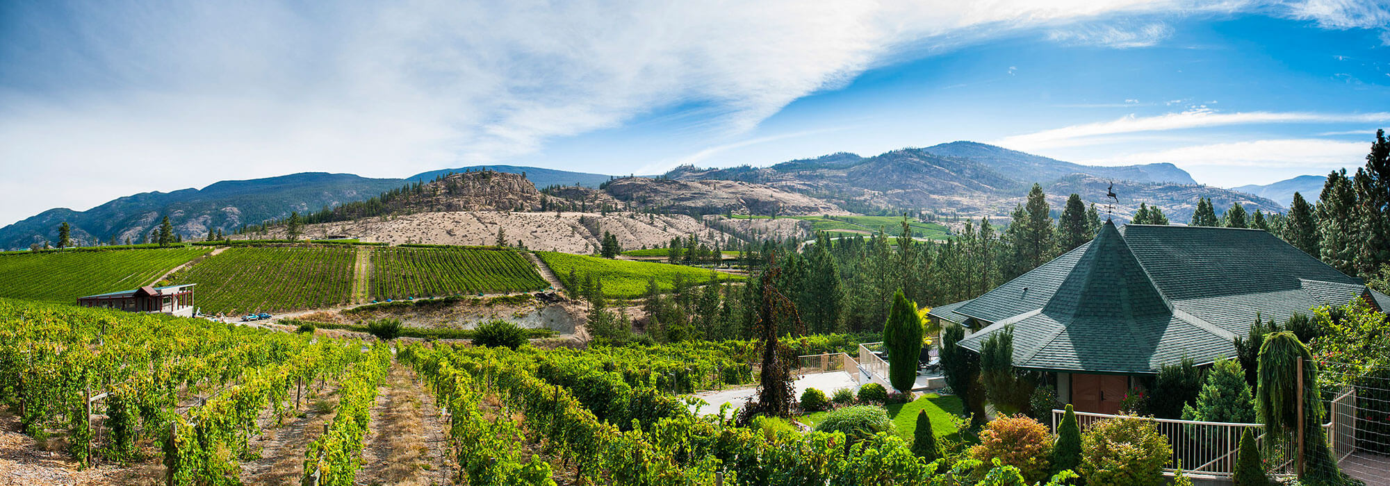 Okanagan Wines | BC Winery Directory